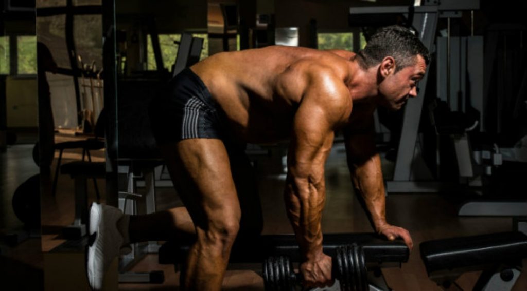 Les 6 meilleurs exercices pour se muscler le dos